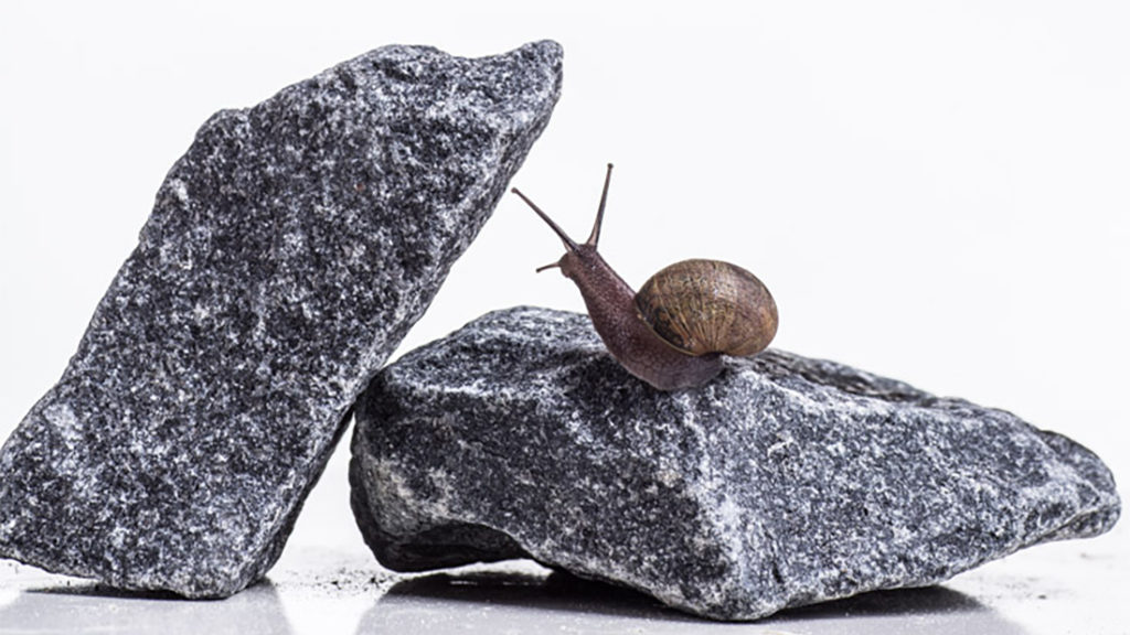 TERMOLAN EN – Isolamentos Termo-Acústicos, S.A.